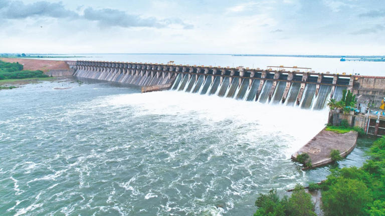 Ujani Dam : उजनी धरण 50 टक्क्यांवर
