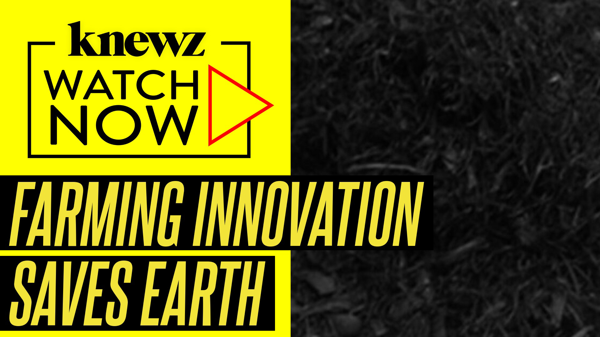 Could This Farming Change Save the Planet From Climate Change Could This Farming Change Save the Planet From Climate Change
