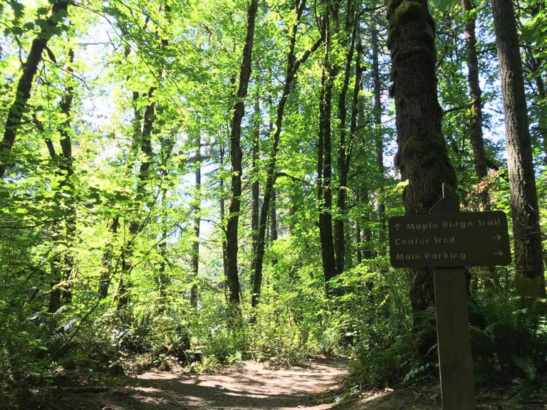 21+ Awesome Hikes Near Portland to Escape The Bustle