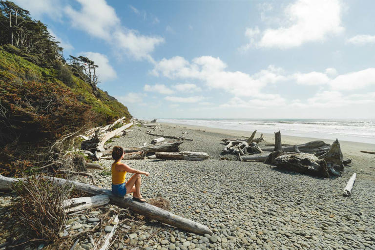 Kalaloch Beach in Olympic NP: What to Know