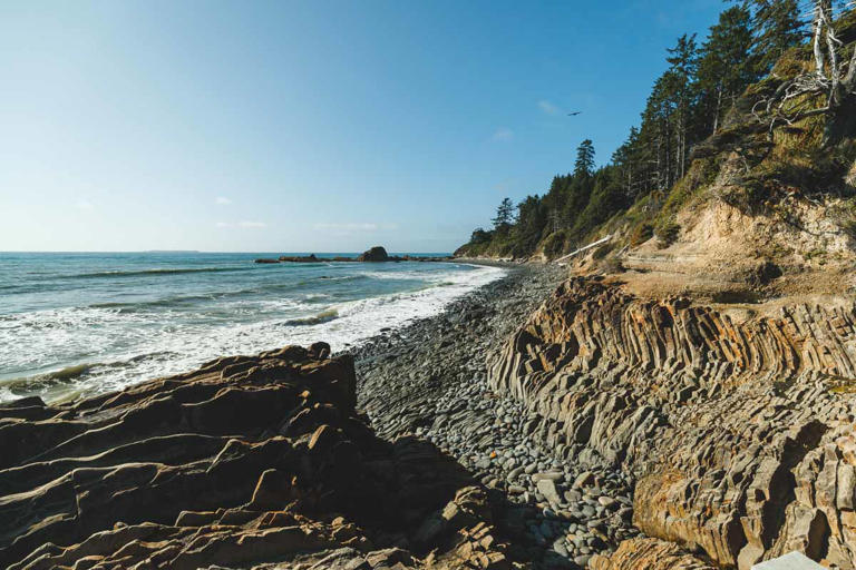 Kalaloch Beach in Olympic NP: What to Know