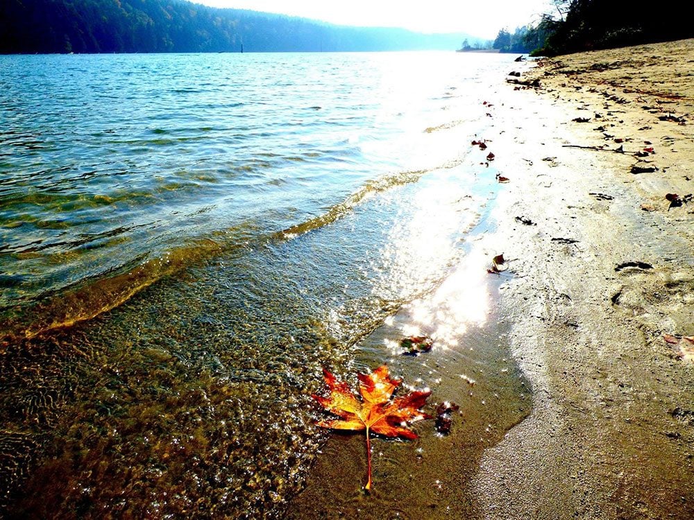 A Splash of Orange: Fall Photography Across Canada