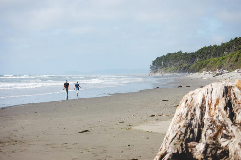 Kalaloch Beach in Olympic NP: What to Know