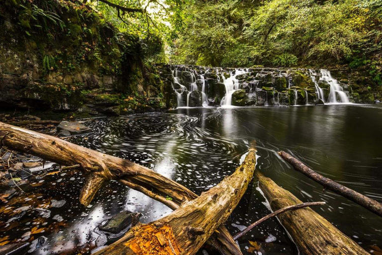 21+ Awesome Hikes Near Portland to Escape The Bustle