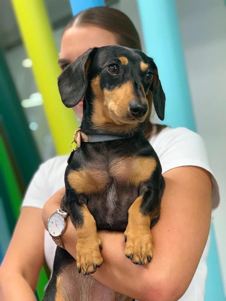 Strife, the show inspired by Mamamia, is returning for Season 2. Here’s ...