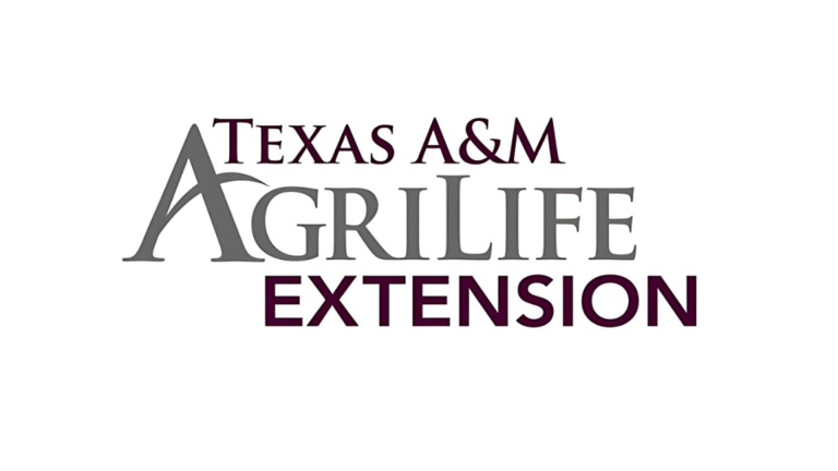 Texas A&M AgriLife Extension to host wildfire preparedness meeting