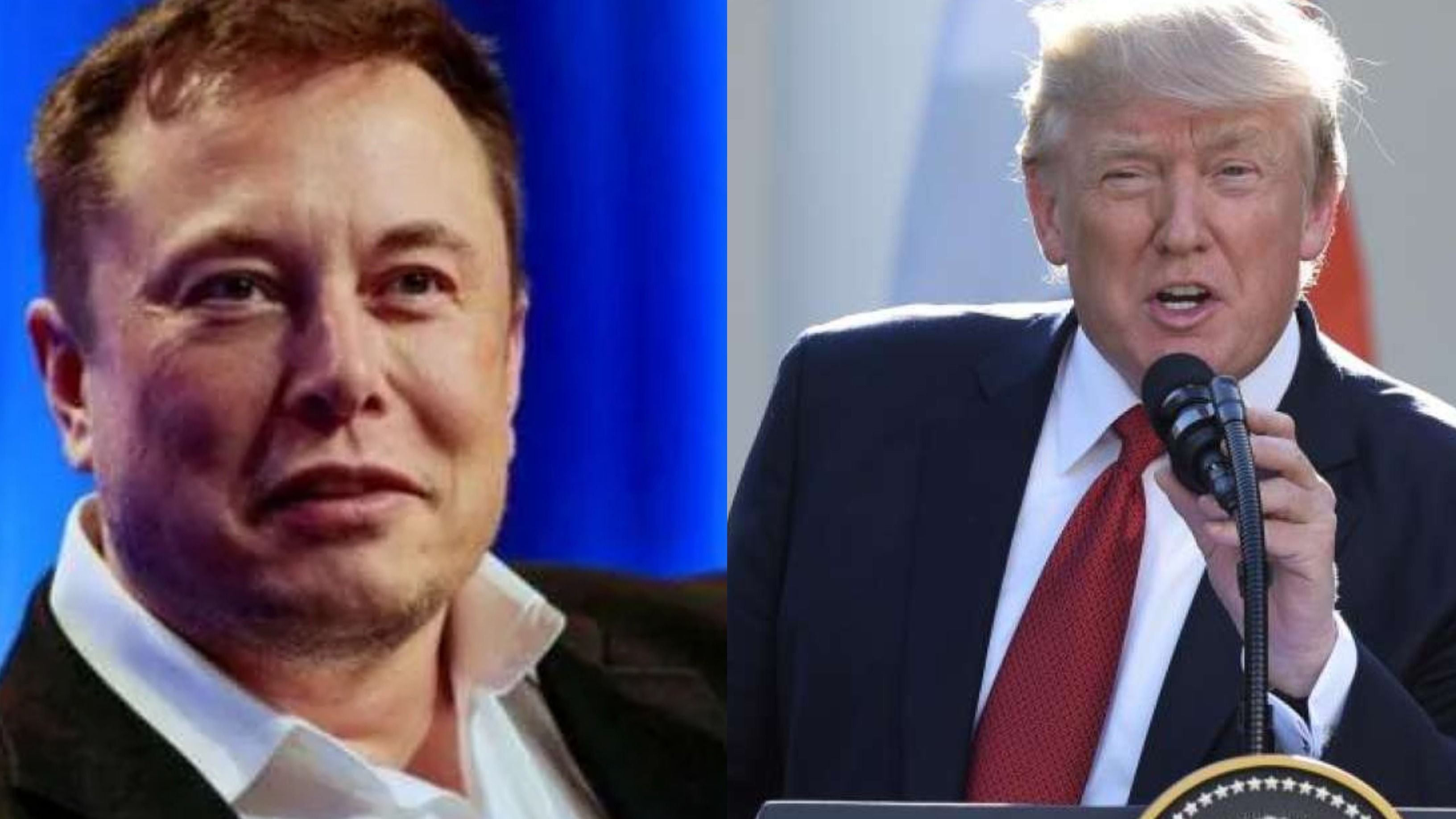 'Thank You President Trump...': Elon Musk Thanks Donald Trump For Being ...