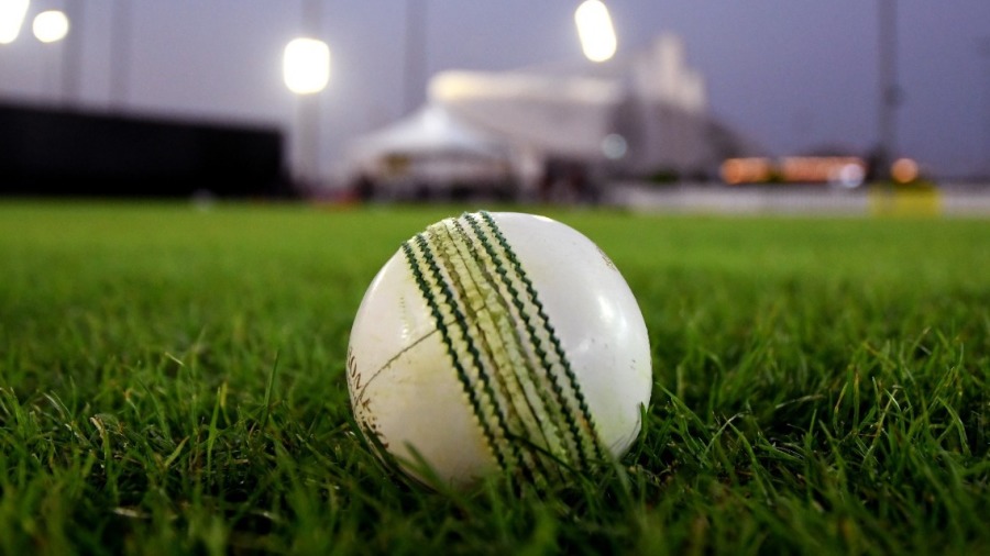 Alex Marshall: Removing certain players from auction makes BPL 'much safer'