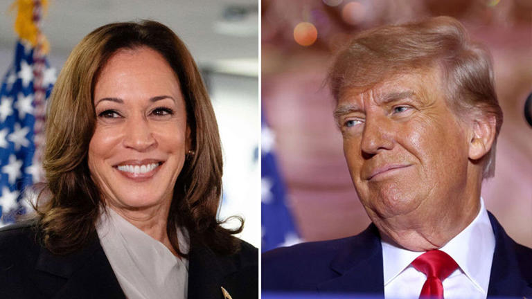 Presidential predictor Allan Lichtman makes 2024 election pick Presidential predictor Allan Lichtman makes 2024 election pick