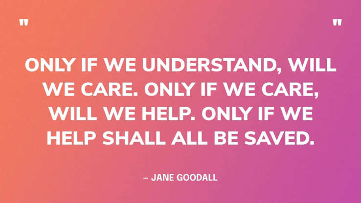 63 Best Jane Goodall Quotes on Hope & Making a Difference 63 Best Jane Goodall Quotes on Hope & Making a Difference