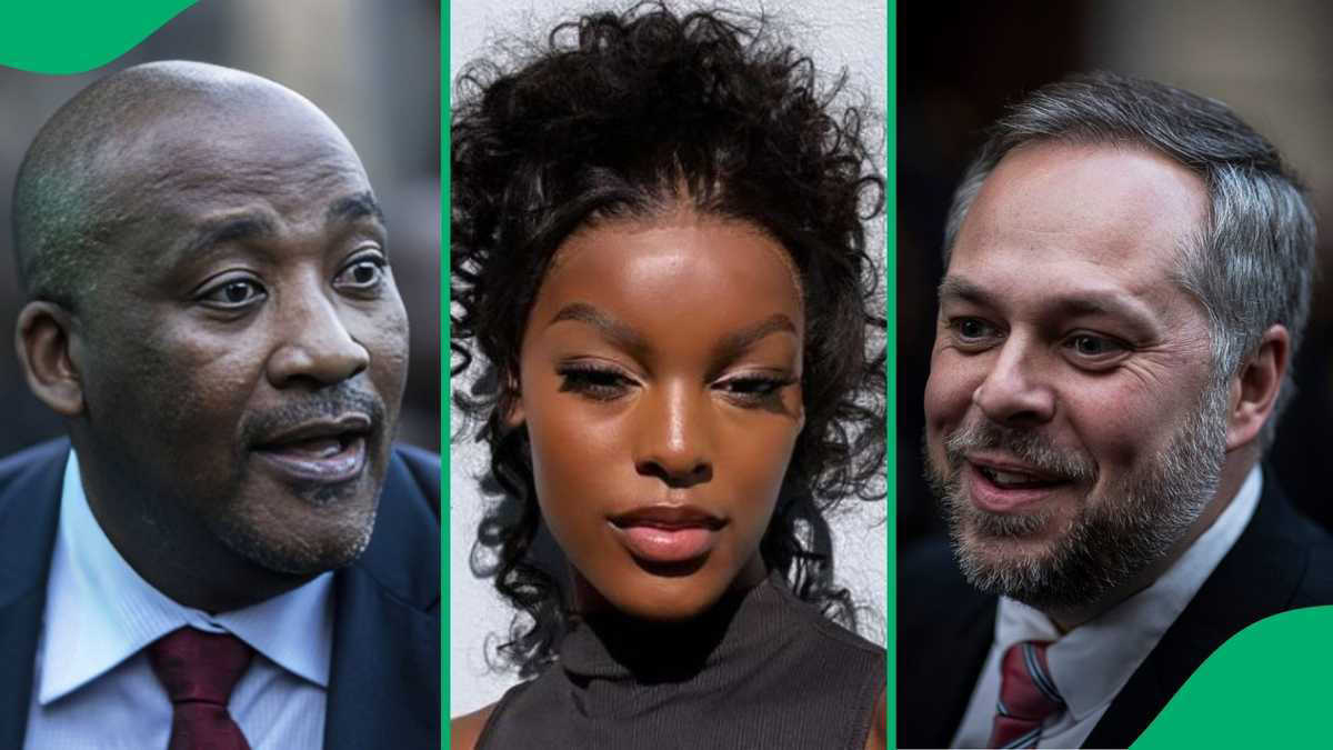 Gayton McKenzie hails explosive findings in Chidimma Adetshina identity ... Gayton McKenzie hails explosive findings in Chidimma Adetshina identity ...