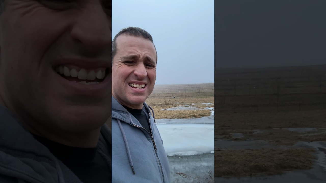 The Pond’s Overflowing: A Farm Win I Didn’t Expect