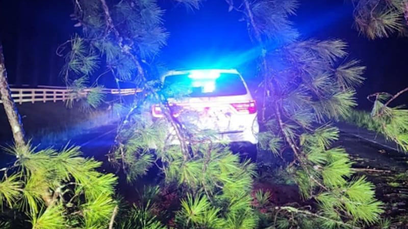 Falling tree damages sheriff’s office vehicle patrolling Bladen Co. road Falling tree damages sheriff’s office vehicle patrolling Bladen Co. road