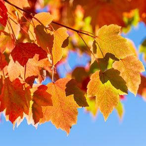 When Is the First Day of Fall? The Autumnal Equinox in 2025