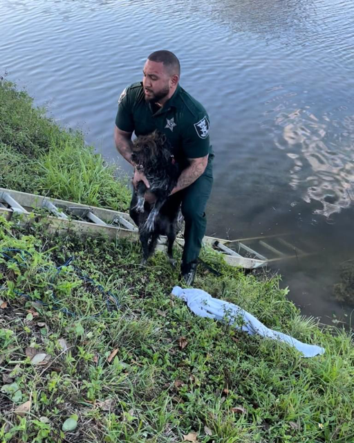 Ex-Lee County sheriff's deputy sentenced to jail for firing into Lehigh ...