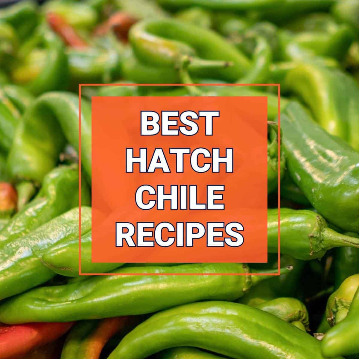 Hatch Chile Recipes