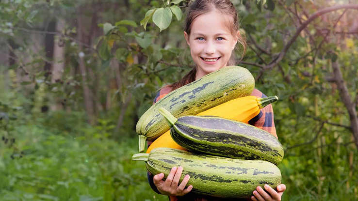 Too Much Zucchini? Here Are 7 Things You Can Do With Them Other Than Eating Too Much Zucchini? Here Are 7 Things You Can Do With Them Other Than Eating