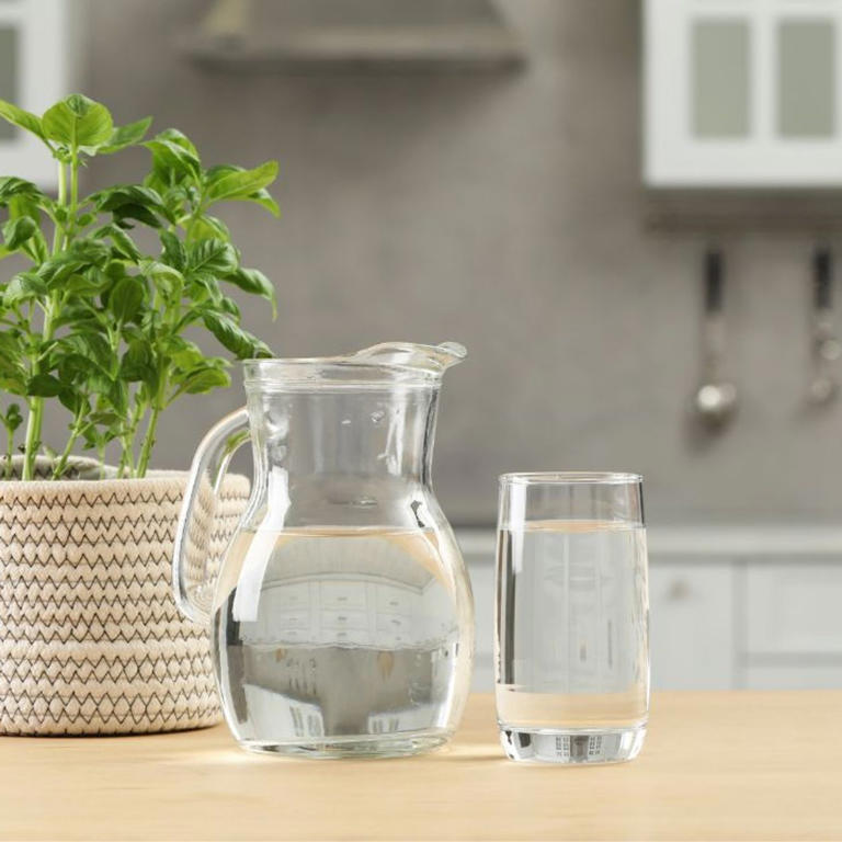 Eau du robinet : voici combien de temps vous pouvez la conserver et la ... Eau du robinet : voici combien de temps vous pouvez la conserver et la ...