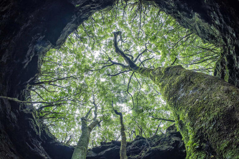 Gruta das Torres, o maior tubo de lava de Portugal