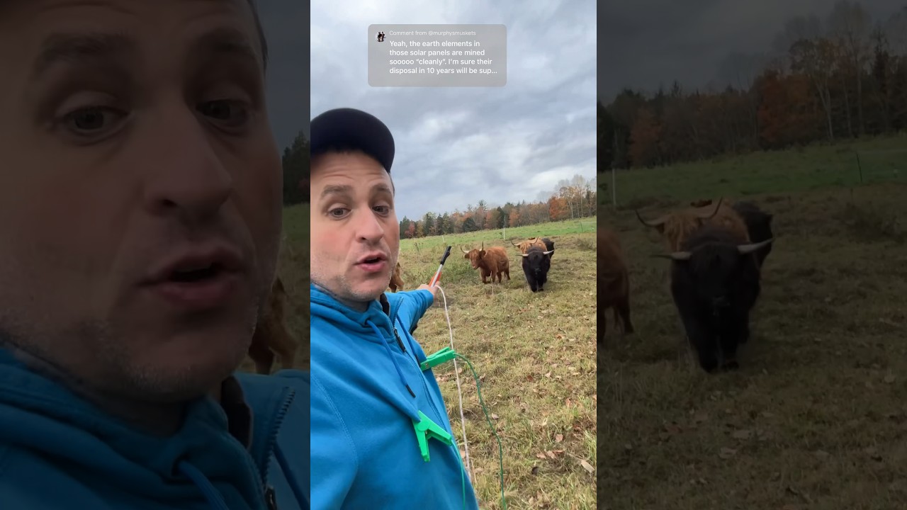 Perfect Is the Enemy of Good