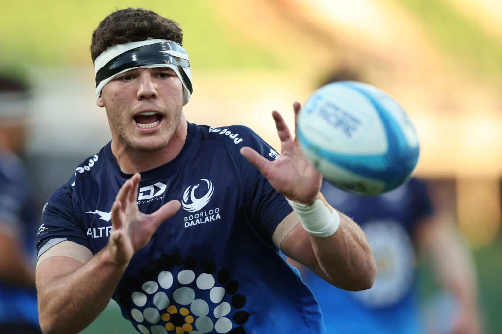 'Elephant in the room' as Wallabies battles heat up