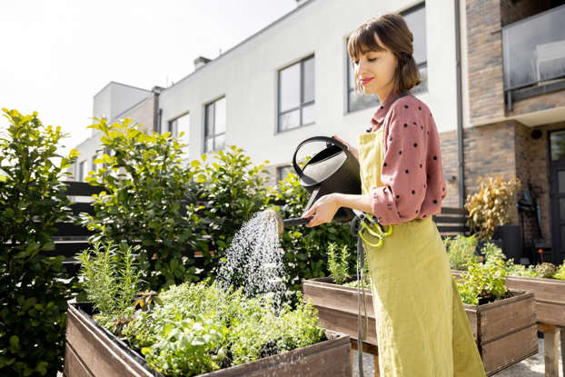 10 Tips for Starting Your Own Vegetable Garden at Home 10 Tips for Starting Your Own Vegetable Garden at Home