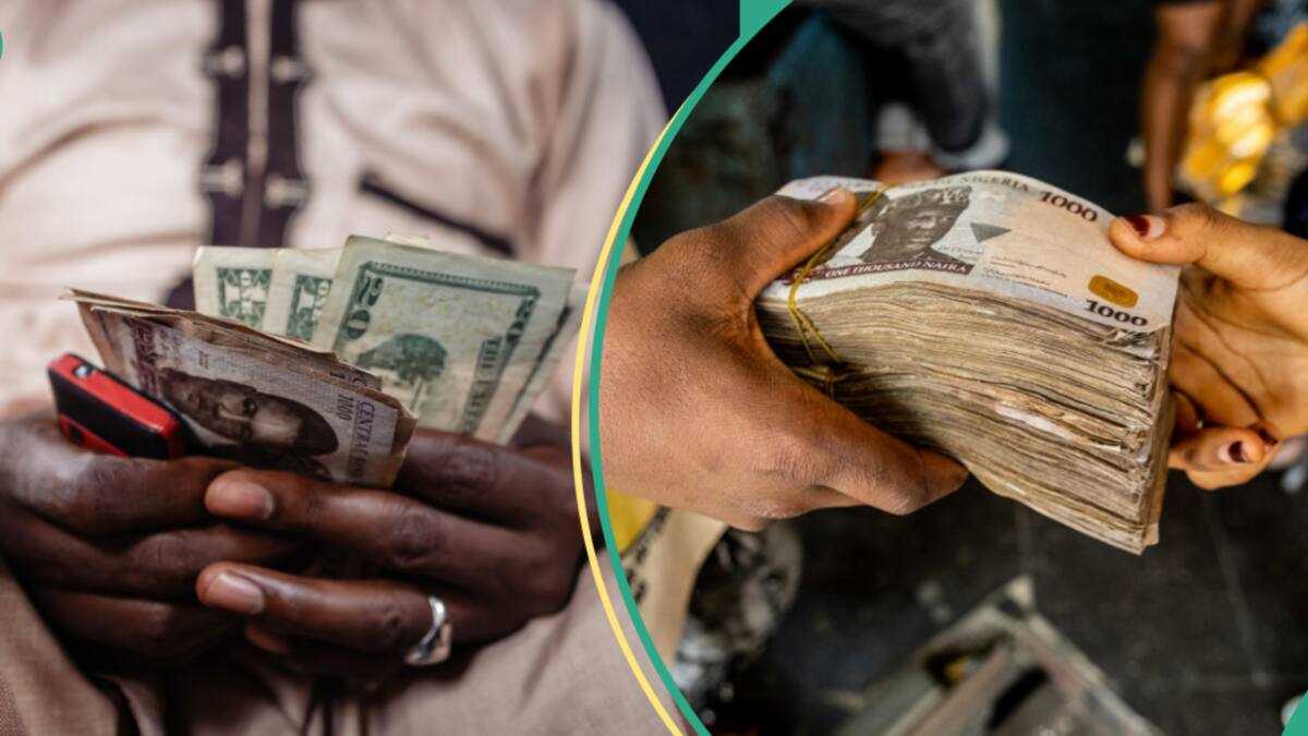 How the exchange rate gap narrowed to N10 as the CBN lowers dollar