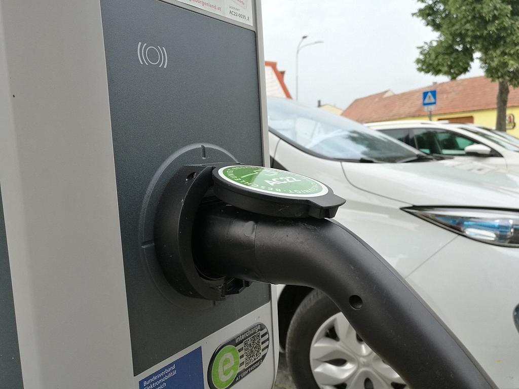 Autohändler: E-Auto-Prämie fließt vor allem nach China