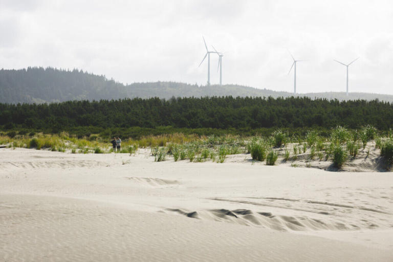 The Best 17 Beaches in Washington State!