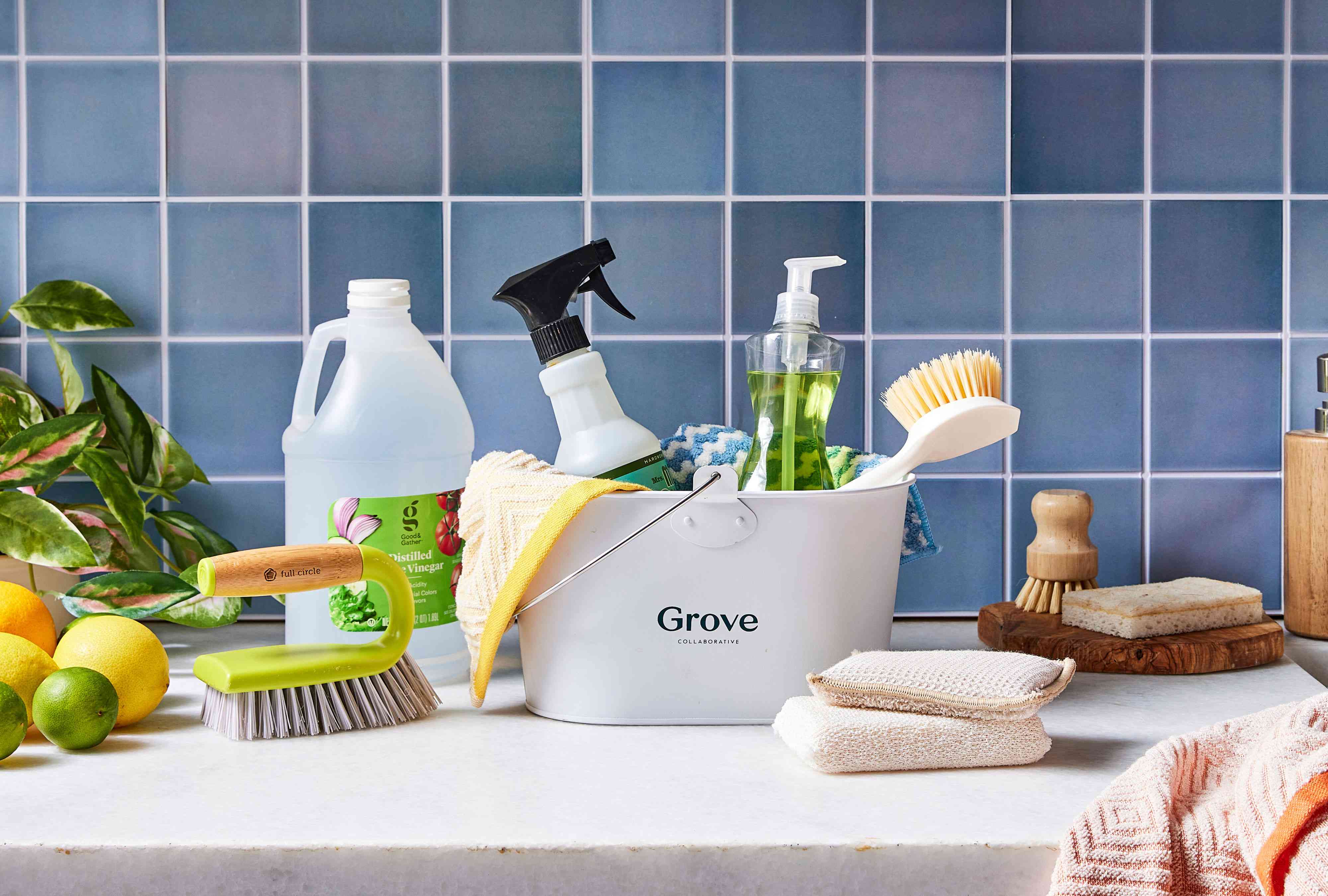 How to Get Rid of Gnats in Your Home (for Good)