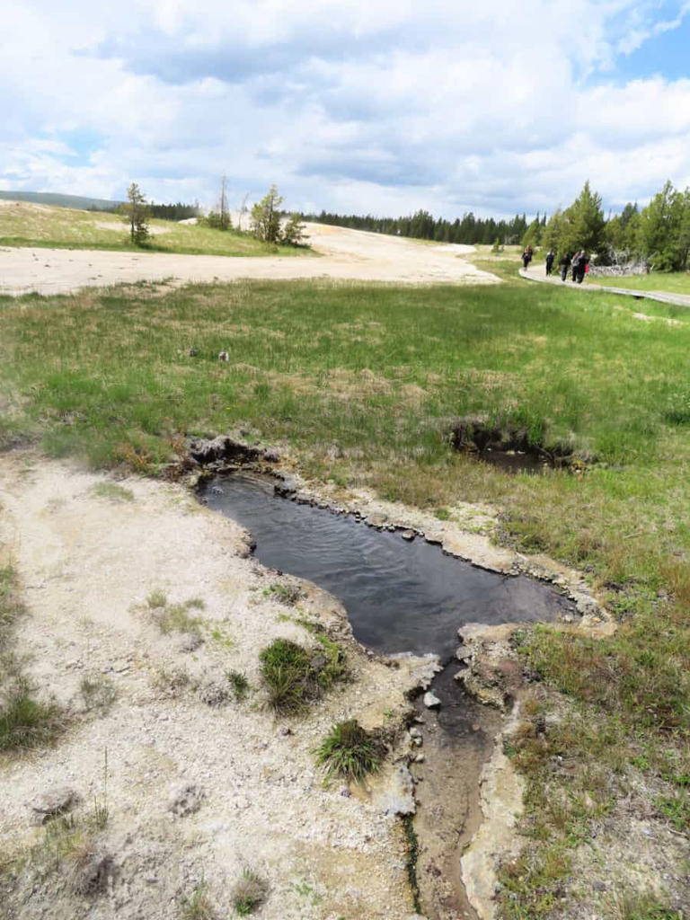 Geyser Hill in Yellowstone National Park