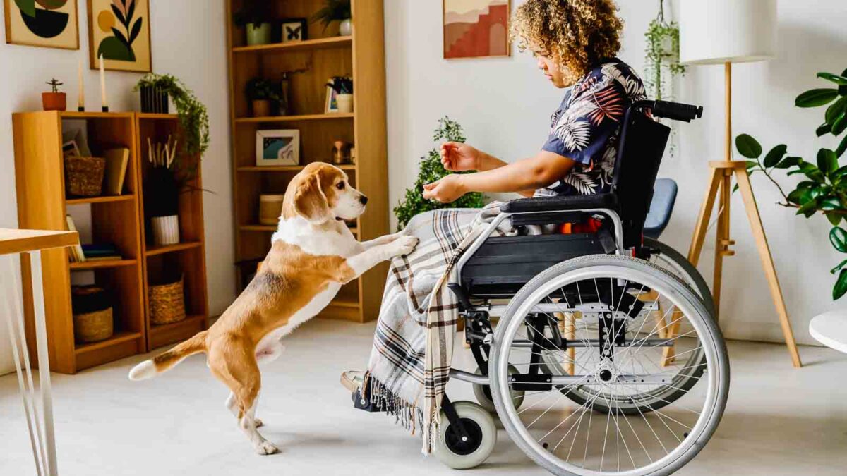 12 Things Your Dog Does That Are Actually Signs of Love