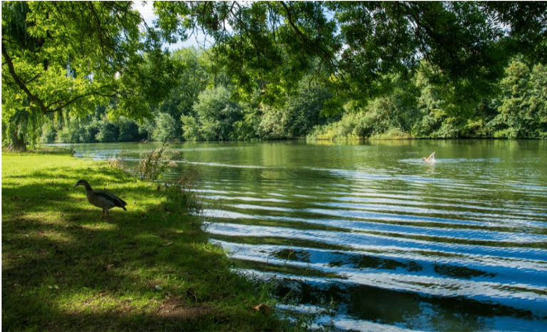 The 10 best wild swimming spots within an hour of London