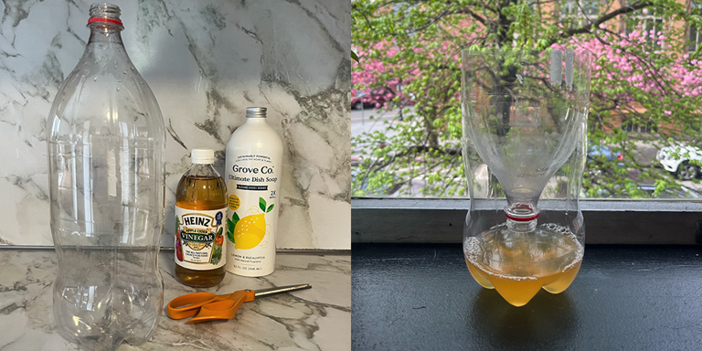 How to Make a Homemade Fly Trap With Apple Cider Vinegar