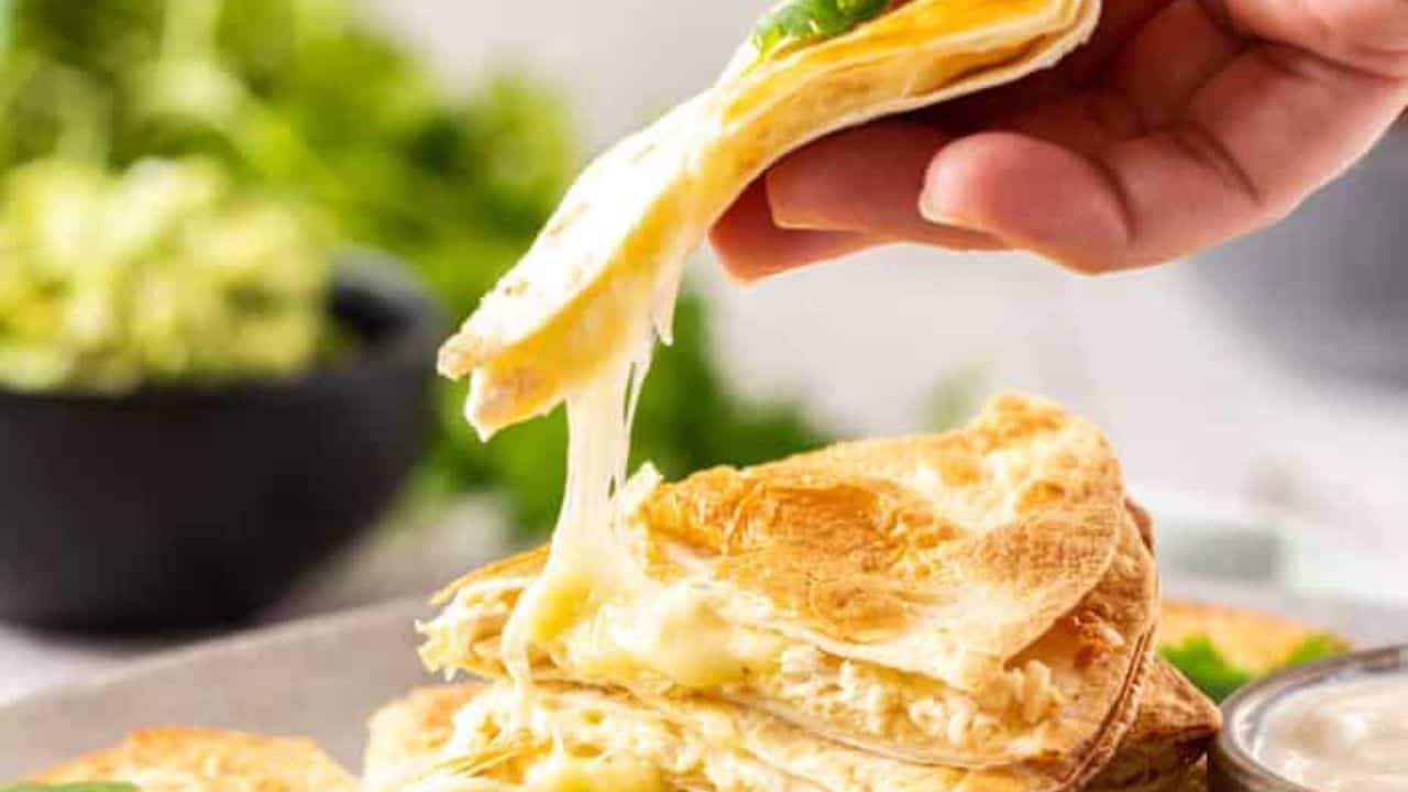 14 family favorite appetizers even picky eaters devour