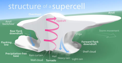 How supercells grow to produce giant hail and intense tornadoes