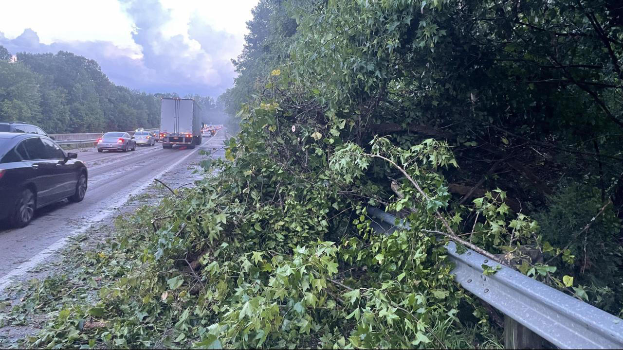 Mutliple trees downed as severe storms move through central NC Mutliple trees downed as severe storms move through central NC