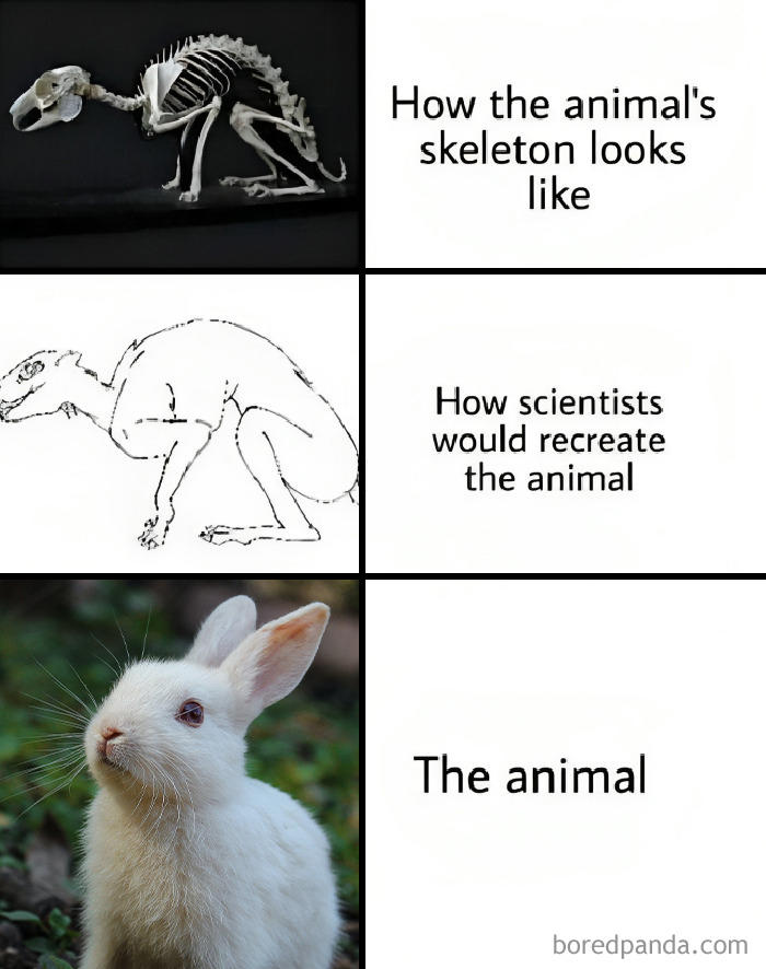 50 Clever Science Memes That Have Been Scientifically Proven To Cause ...