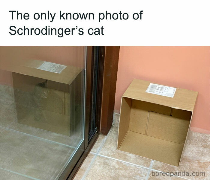 50 Clever Science Memes That Have Been Scientifically Proven To Cause ...