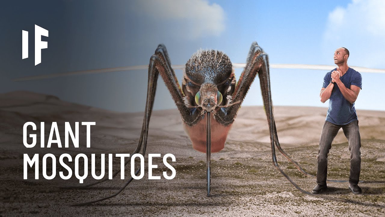 Suppose mosquitoes the size of humans terrorizing cities