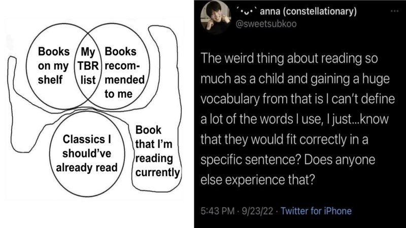 15 Memes Just For Readers