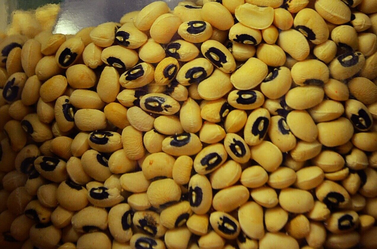 Sowing the seeds of greater food diversity in Africa