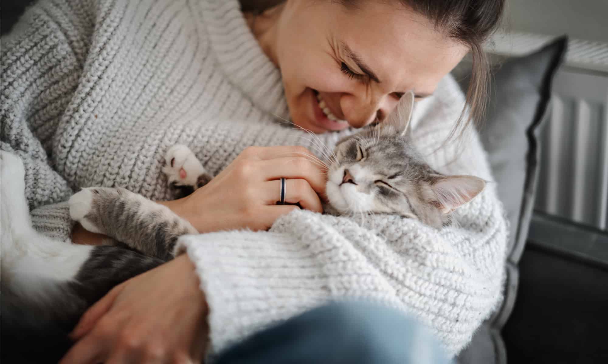 Decoding Cat Behavior: The Art of Petting