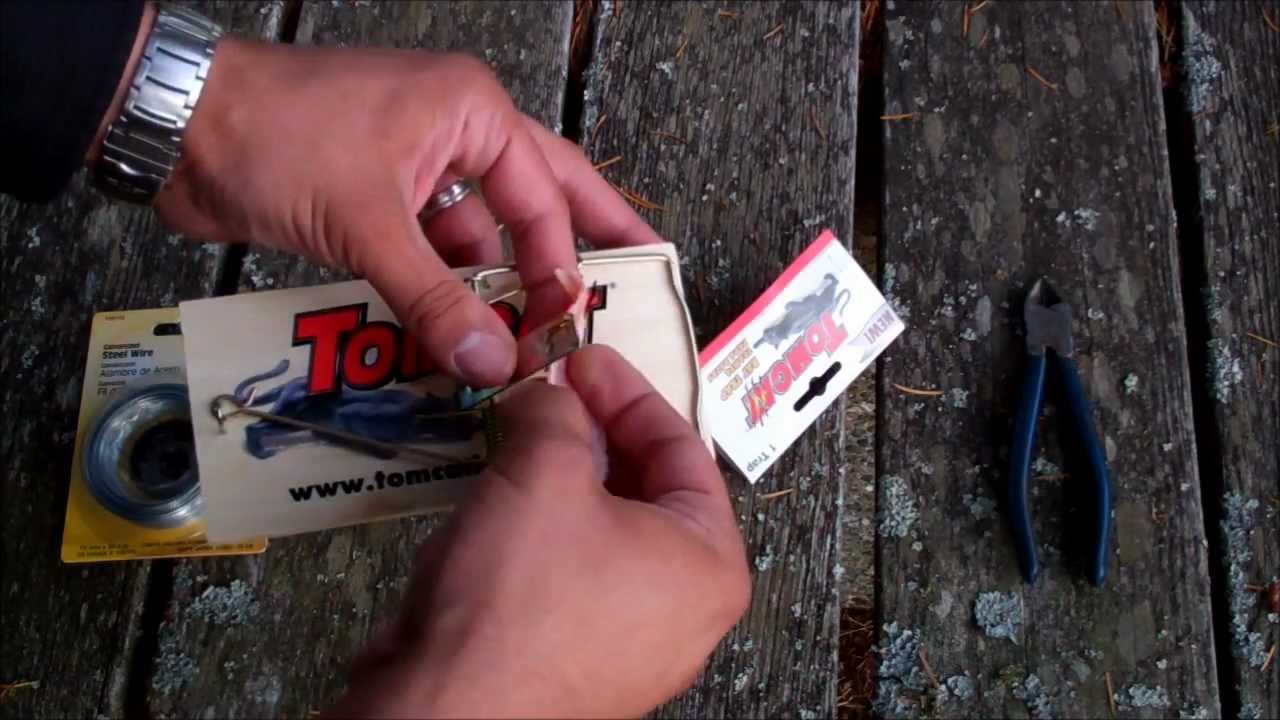 Rat Wars! 2011 by TheUrbanPrepper