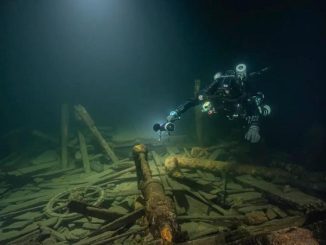 Mathieu Roland-Billecart, CEO da Champagne Billecart-Salmon, fala sobre ...