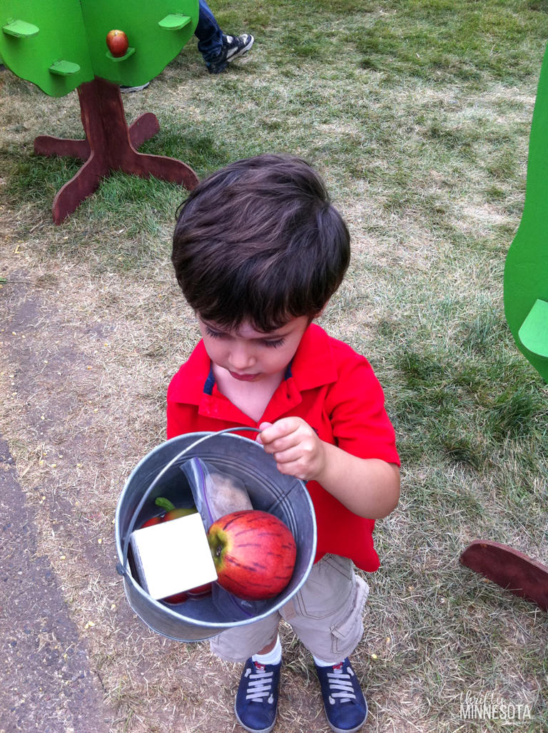 Top Minnesota State Fair Activities with Kids