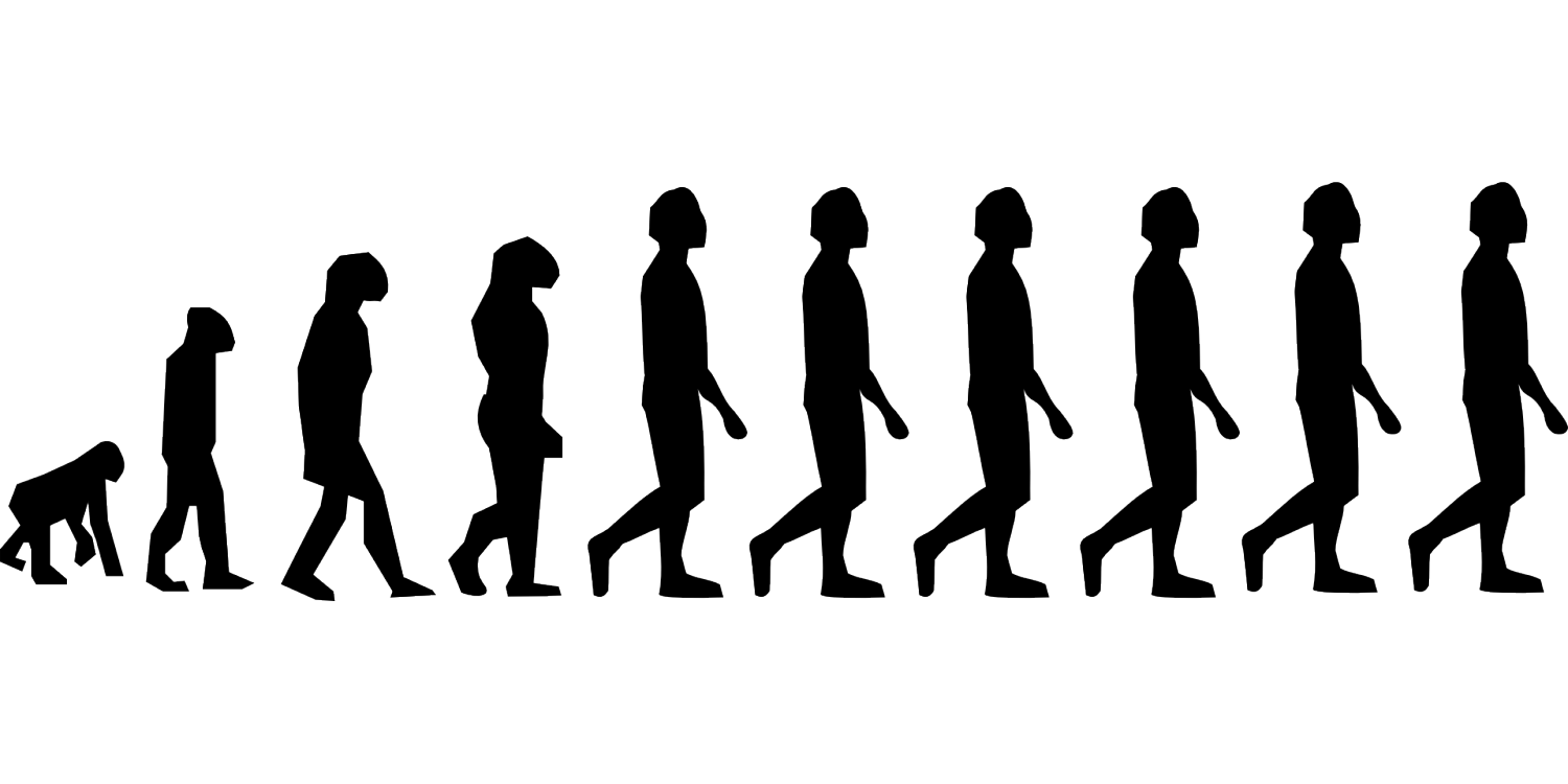 Genetic study reveals hidden chapter in human evolution