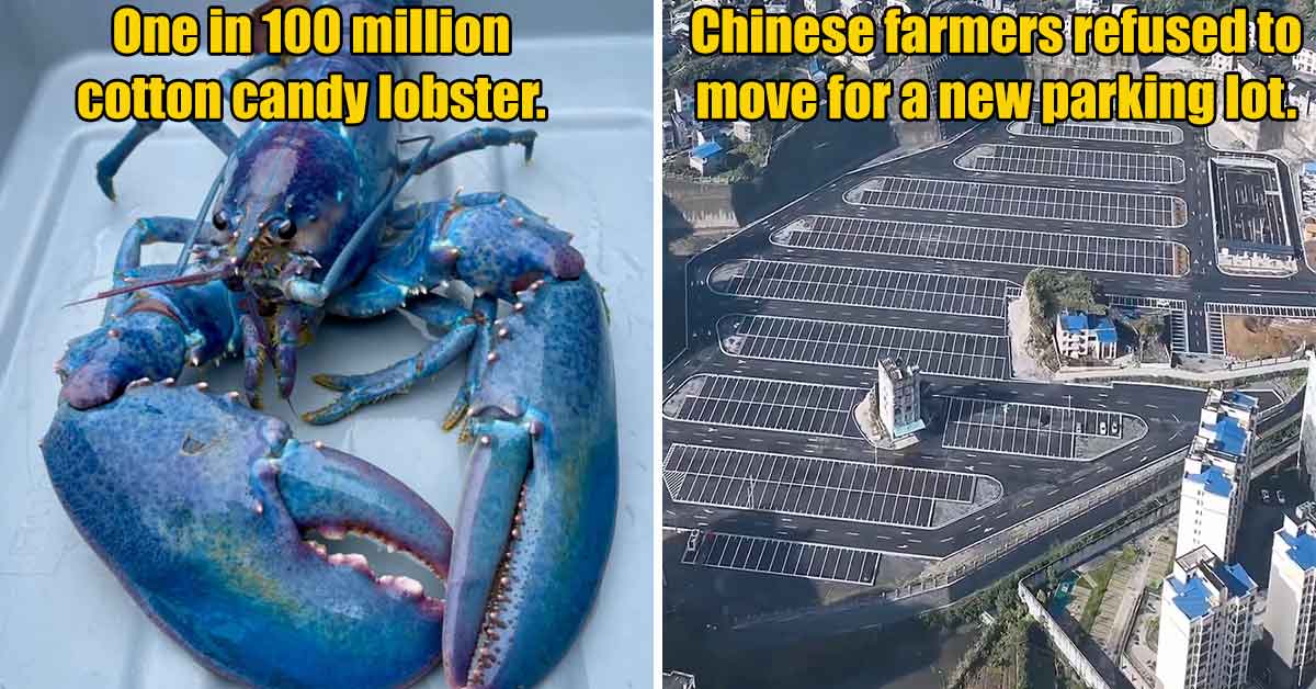 21 Interesting Images From Our Weird Wild World