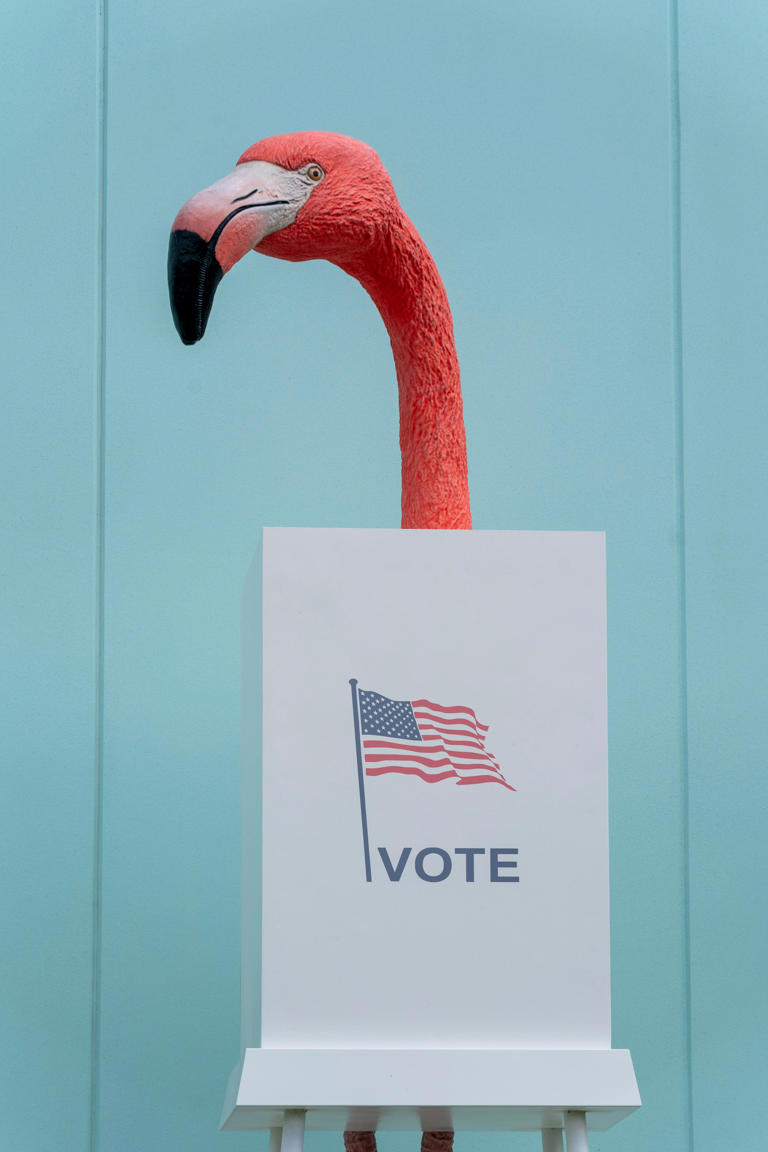 Is election day a federal holiday in 2024? What holidays remain this year
