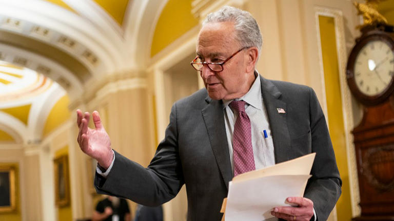 Schumer Will Force Republicans To Vote Again On Ivf Access
